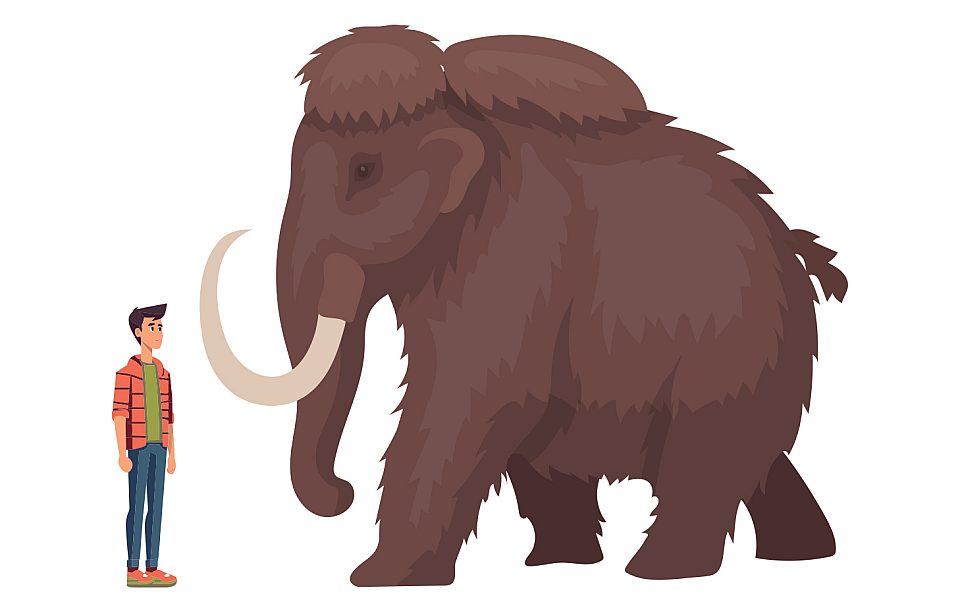 A Mammoth Surprise | God's World News