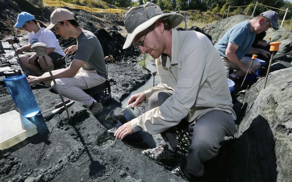 Paleontologists at Work | God's World News