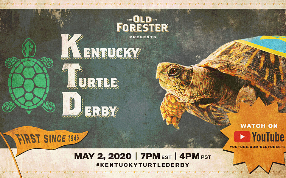 Turtle Derby Takes Off | God's World News