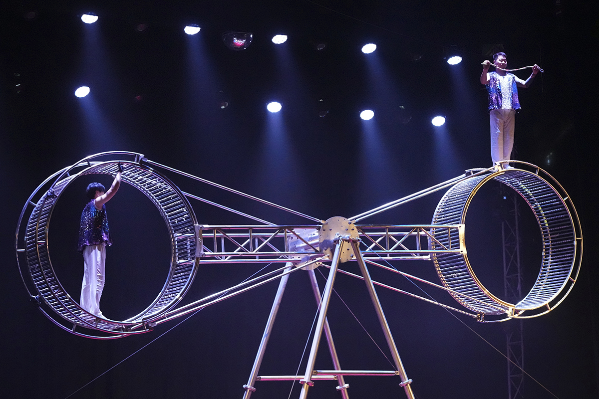 The Last Circus in South Korea | God's World News