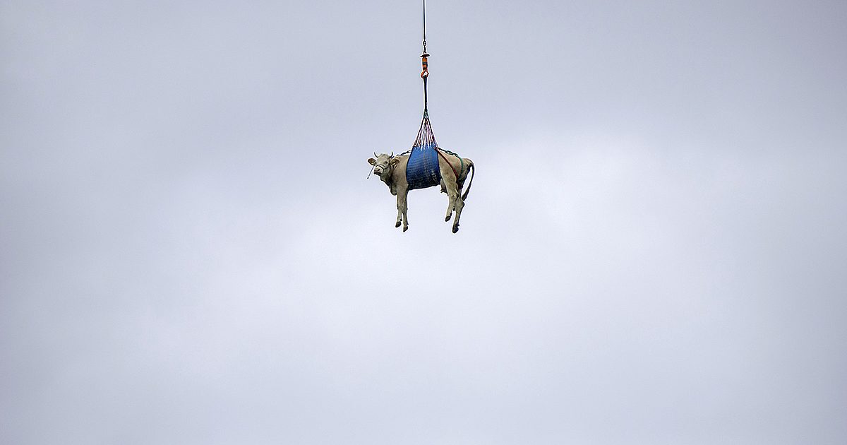 Evacuation by Car, Hoof, and Helicopter | God's World News