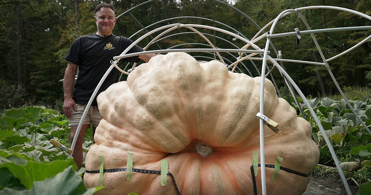 How To Grow a Giant Pumpkin | God's World News