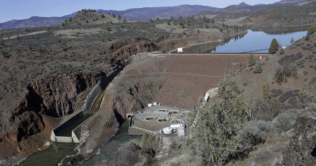 Ready, Set, Salmon! | God's World News