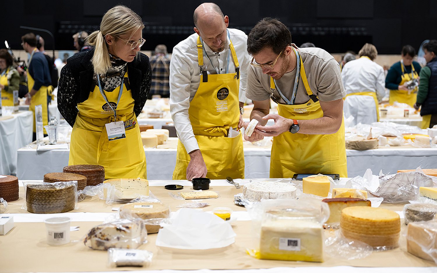 Switzerland Hosts a Cheese Fest | God's World News