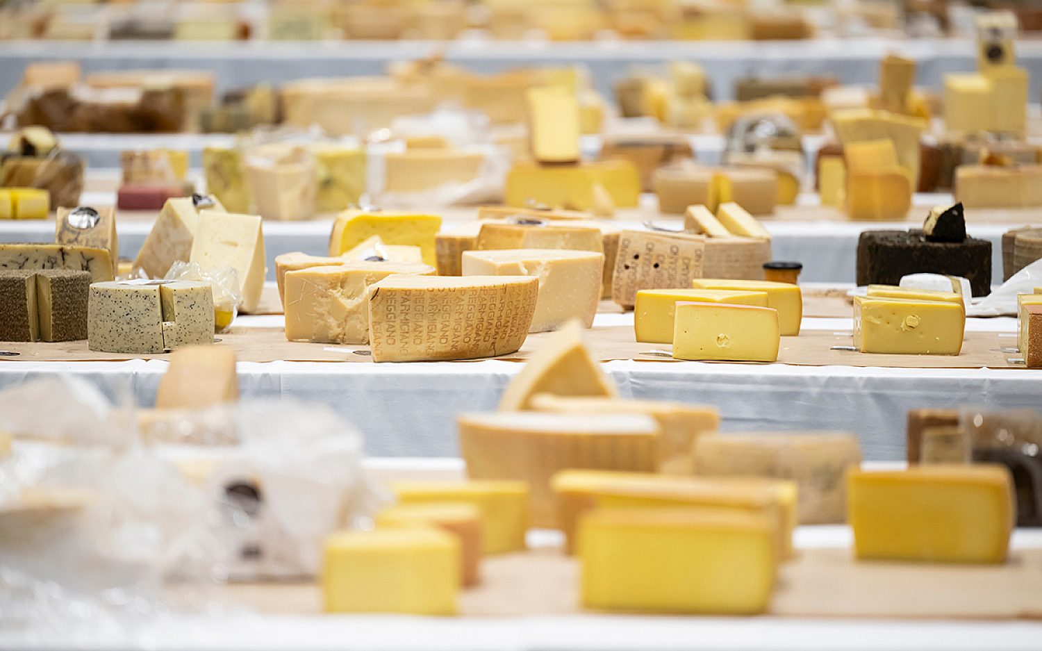 Switzerland Hosts a Cheese Fest | God's World News