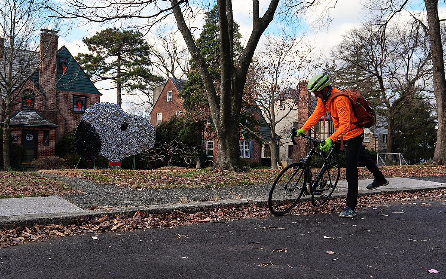 Hubcap Art | God's World News